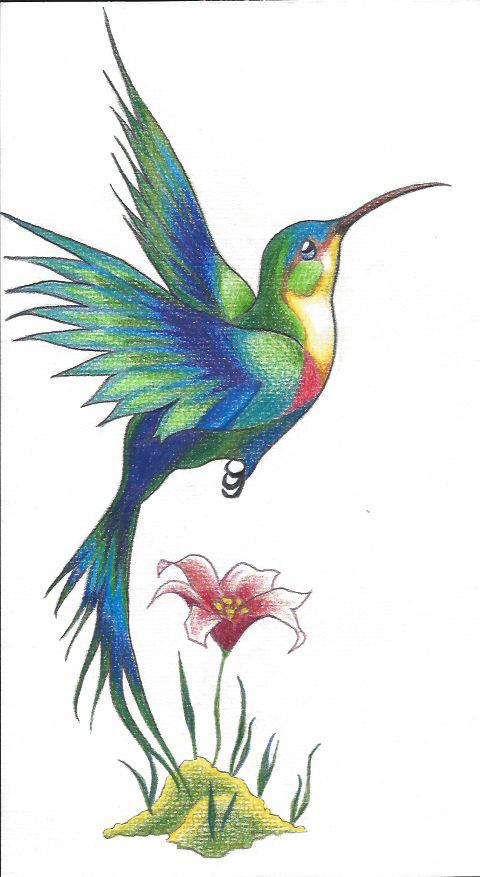 Интересни факти за птицата колибри - Нова Македонија