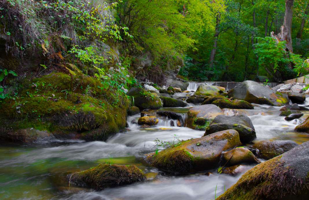 Повторно оживување на реките во Македонија - Нова Македонија